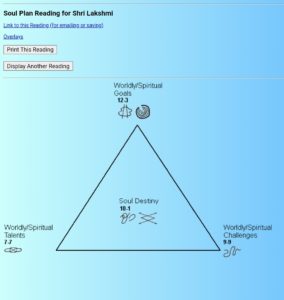 Personal Soul Plan Readings via Zoom or Email & Voice message – Erika Brose